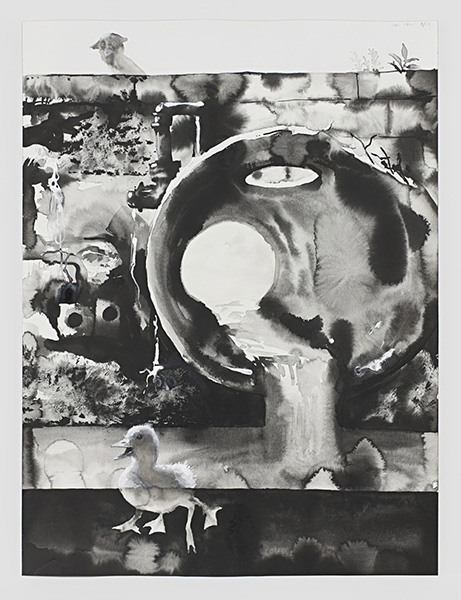 Tracy Williams, Ltd.